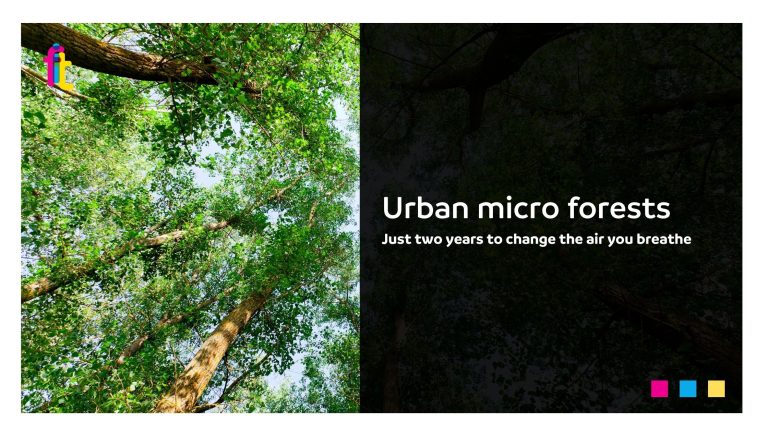 Urban micro forests: just two years to change the air you breathe - FIT Consulting
